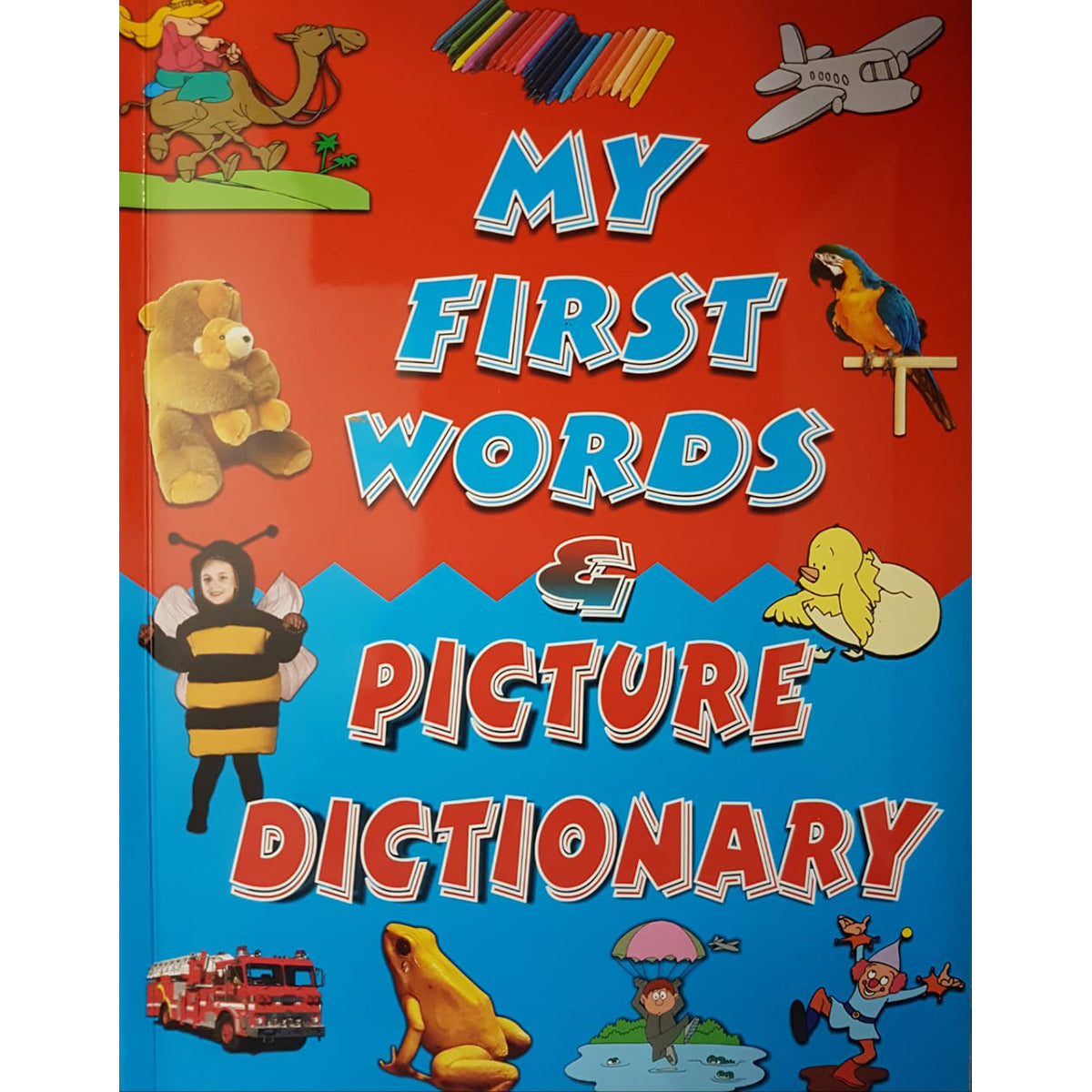 My First Words & Picture Dictionary – BMS Brands