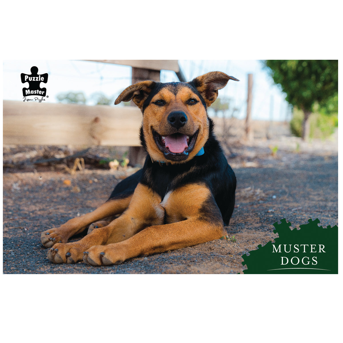 Muster Dogs Lively, Lovable Muster Dog Banjo – BMS Brands