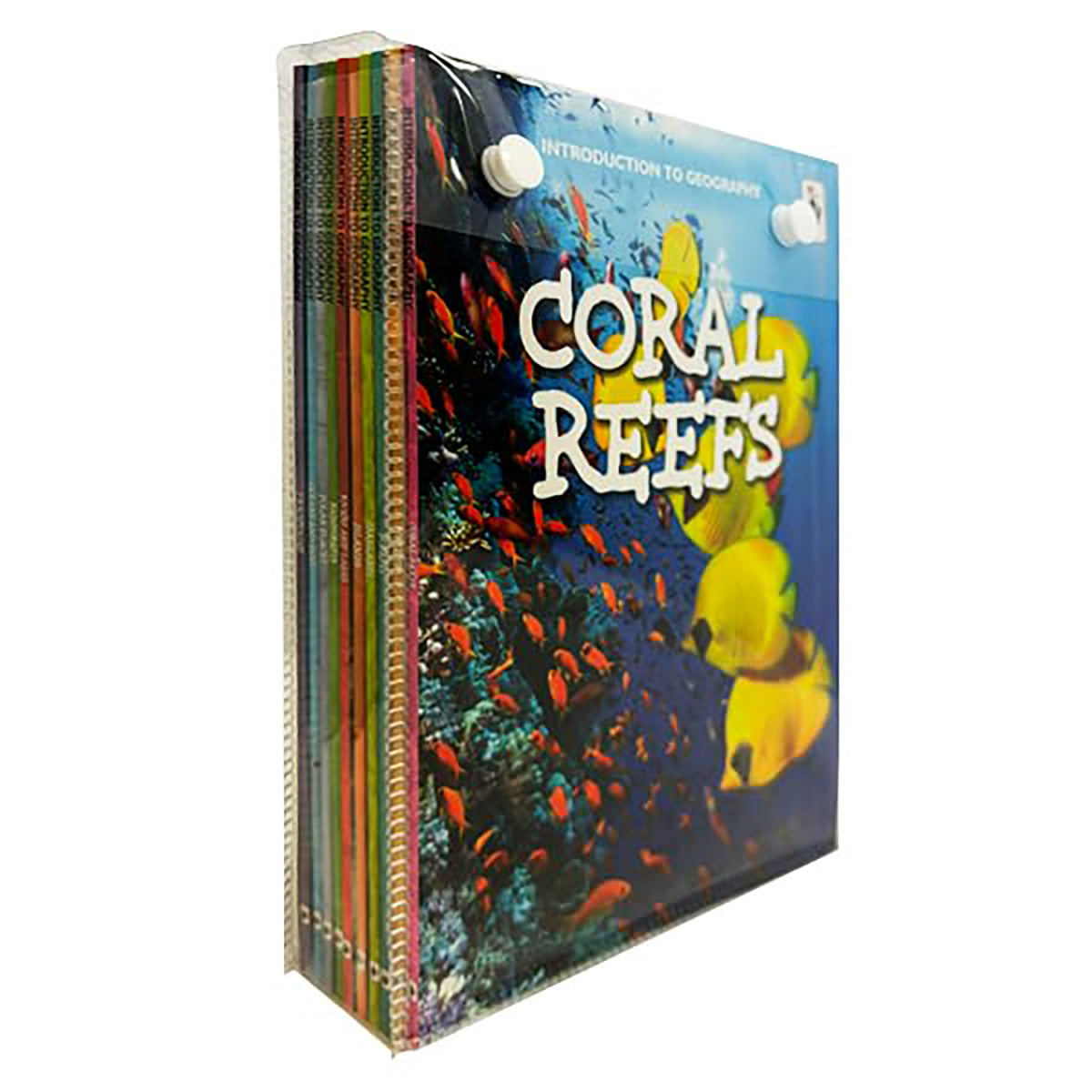 Introduction To Geography – BMS Brands